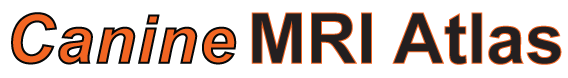 Canine MRI Atlas
